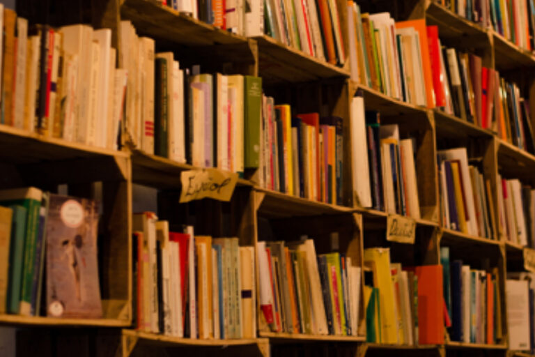 What Is Book Metadata, and How to Create a Good One?